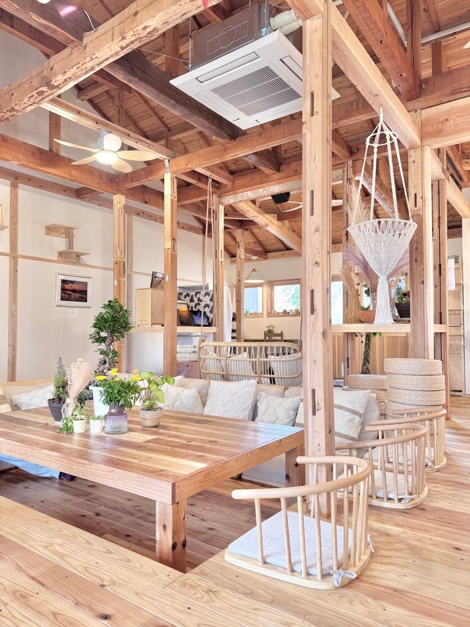 【室内、屋外スペースあり】自然に囲まれグランピングの中に、ねこちゃんと一緒のんびり過ごせられる空間。の写真5