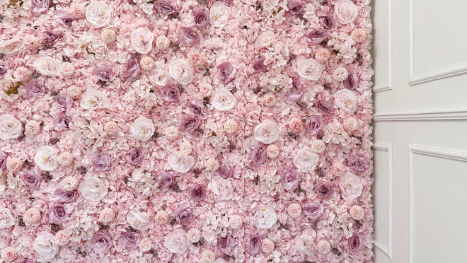 【渋谷・三軒茶屋エリア】駅チカ・自然光たっぷり白壁×バラ背景撮影スタジオ|ポートレート・ファッション・商品・SNS撮影の写真5