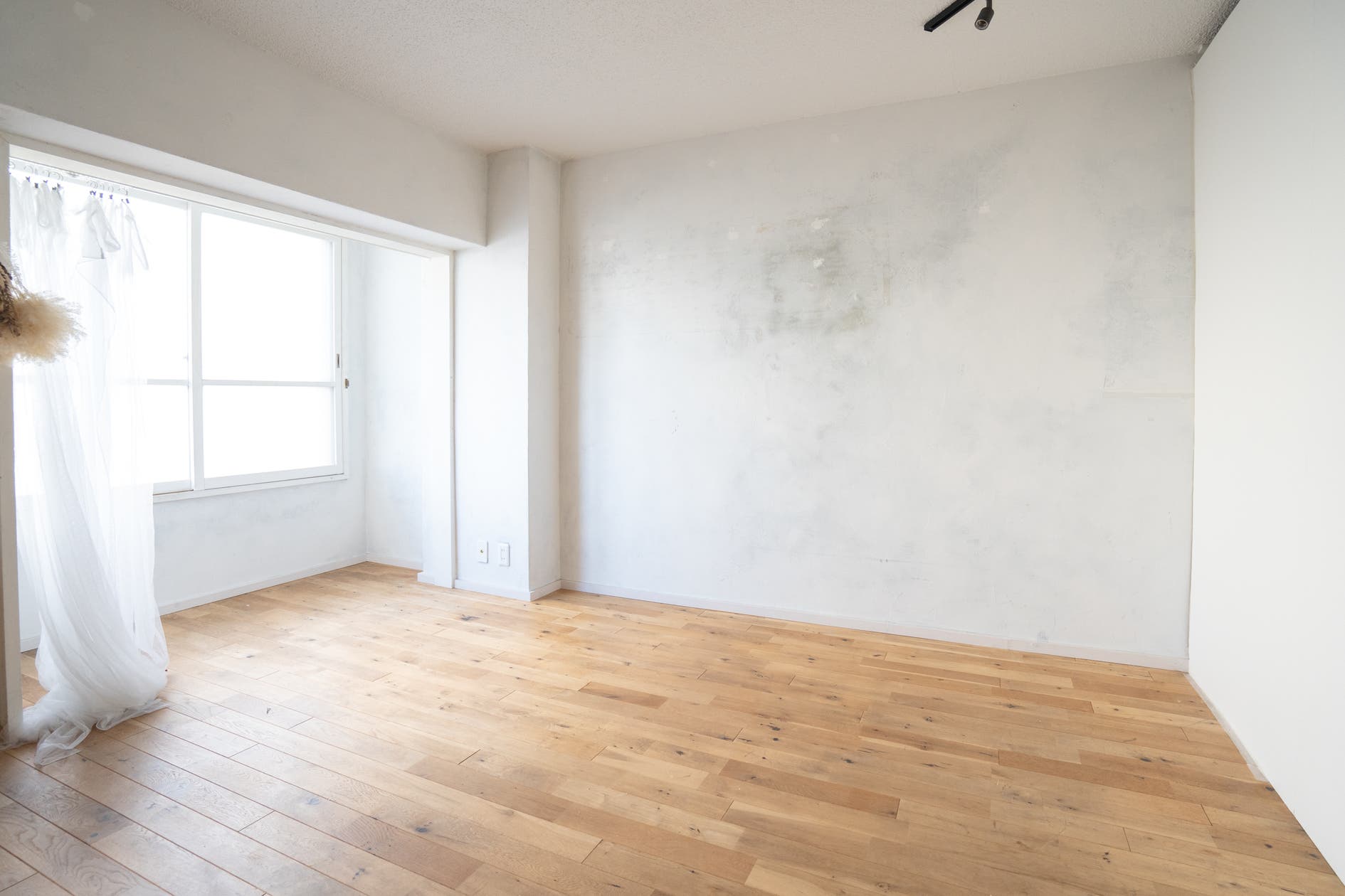 2026年1月末までレンタルスペースオープン特別価格！！中島公園すぐ｜自然光と木の温もりを感じるナチュラルレンタルスタジオの写真1