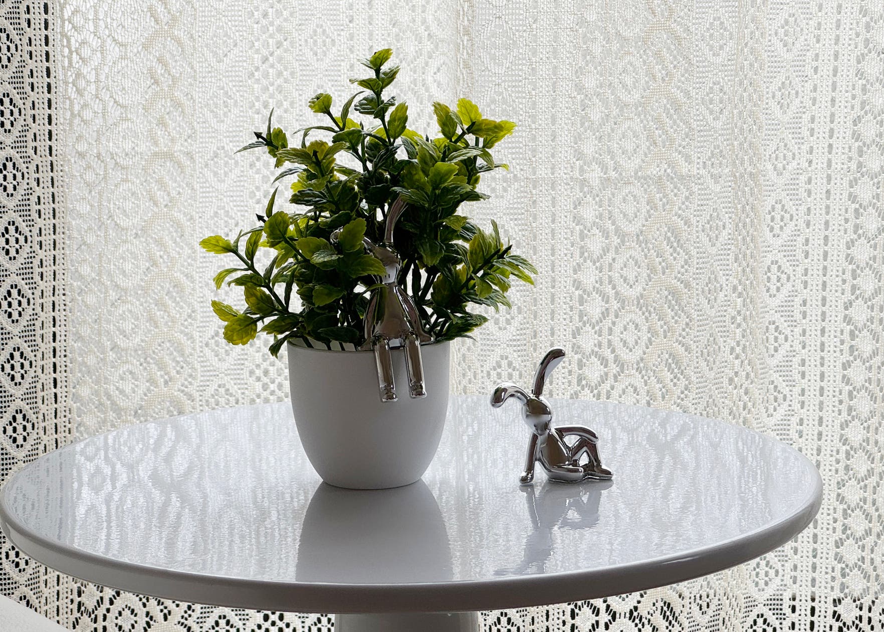 【渋谷・三軒茶屋エリア】駅チカ・自然光たっぷり白壁×バラ背景撮影スタジオ｜ポートレート・ファッション・商品・SNS撮影の写真16