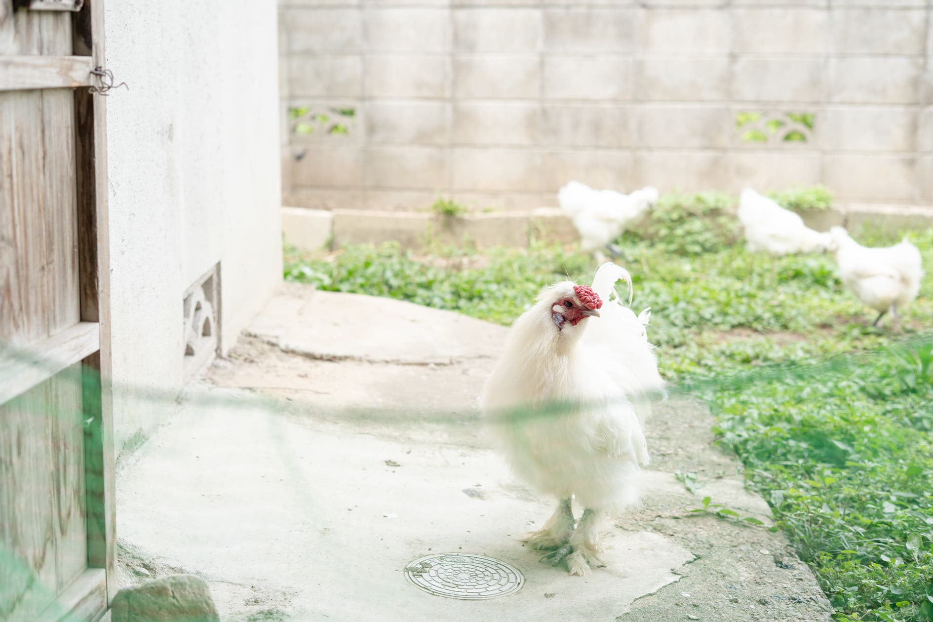 田舎にある離れのスペースの写真8