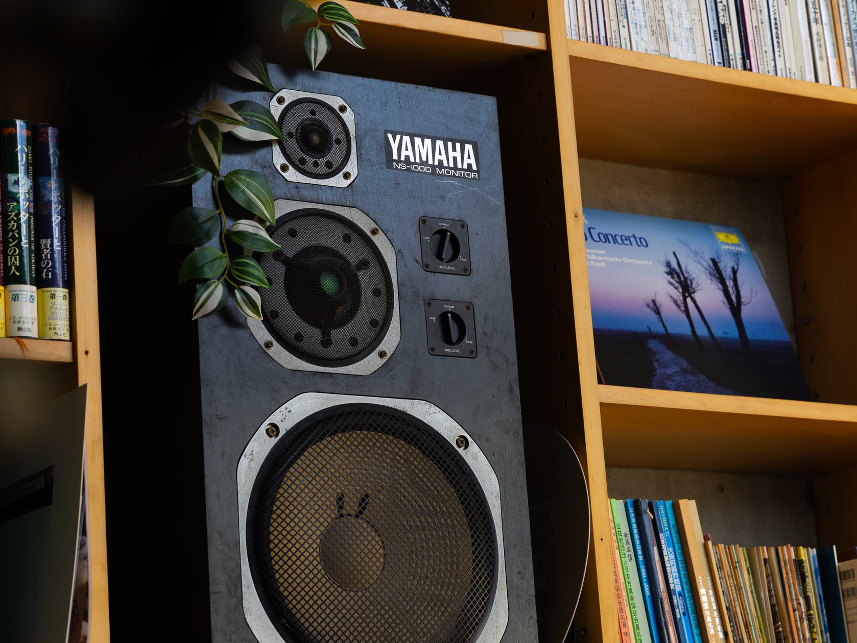 『日暮里・千駄木』Yanaka Ginza Studio/谷中銀座スタジオ (写真・映像)の写真10