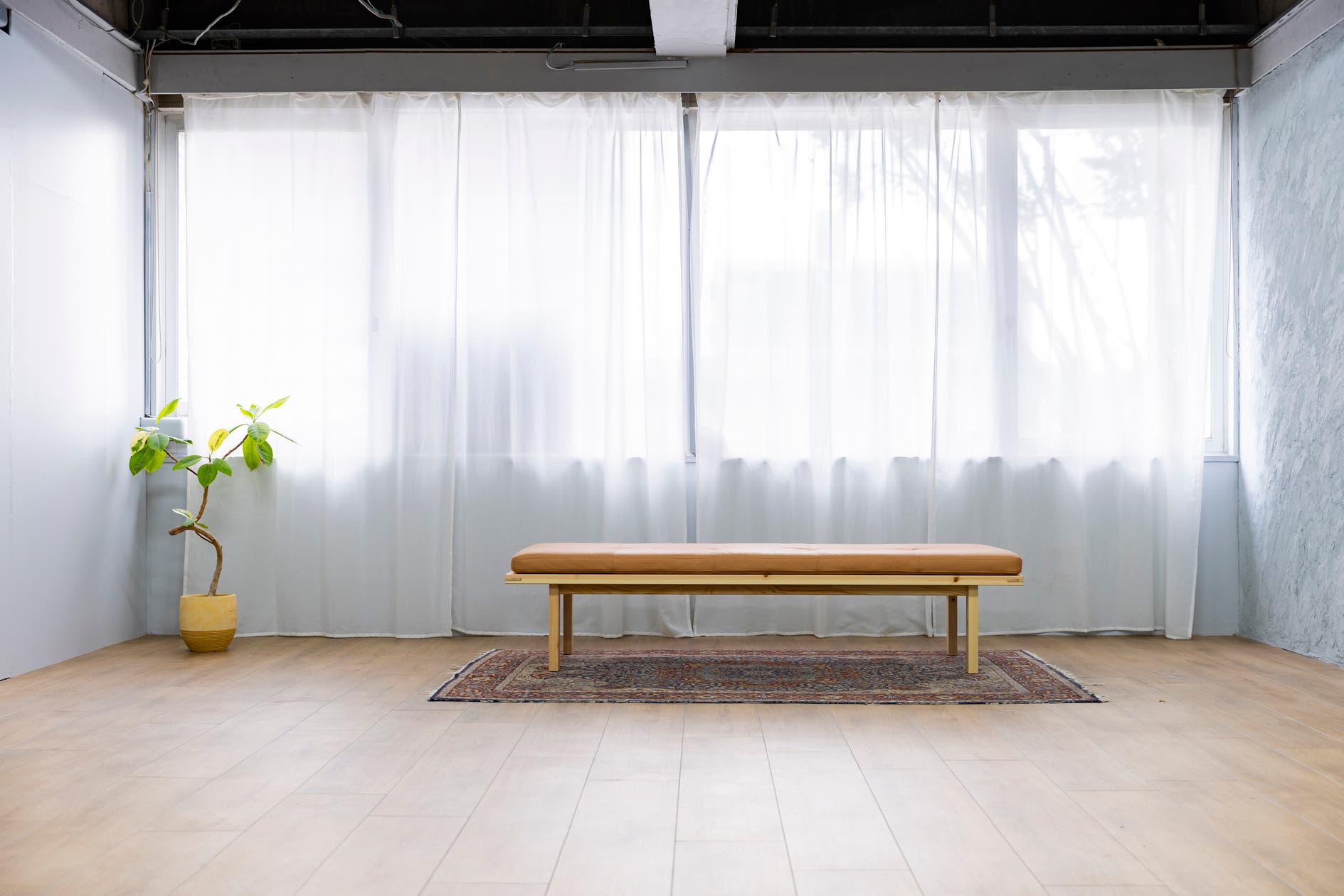 【優しい光の撮影空間】ROOMスタジオの写真2