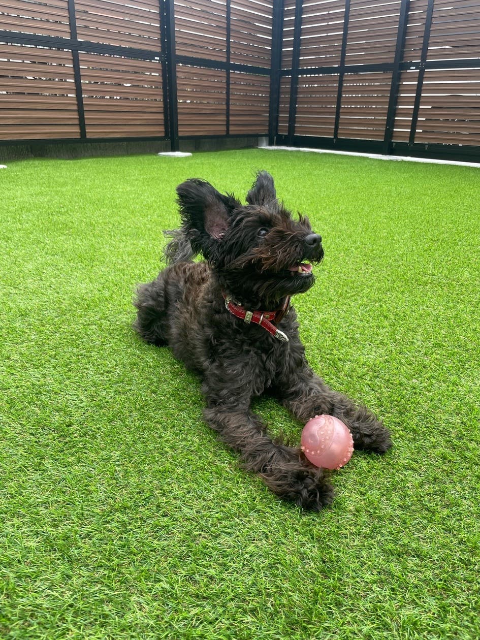 ✨プレOPEN✨立場駅４分🚇駐車場あり🚙仕事も趣味もイベントも🌈ガーデン付隠れ家スペース🌲赤ちゃん👶ペット🐕スポーツの写真7