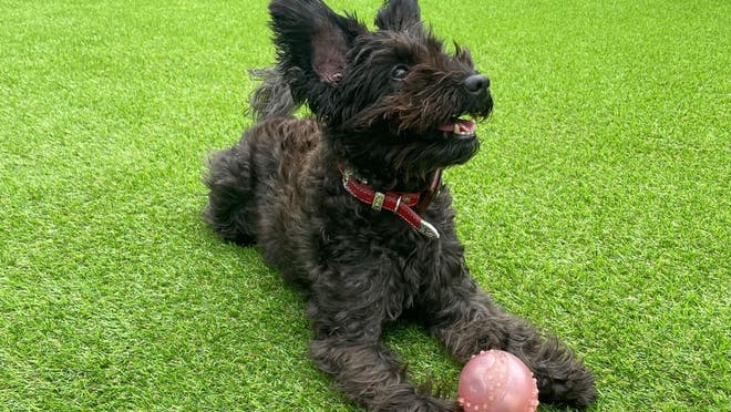 ✨プレOPEN✨立場駅4分🚇駐車場あり🚙仕事も趣味もイベントも🌈ガーデン付隠れ家スペース🌲赤ちゃん👶ペット🐕スポーツの写真3