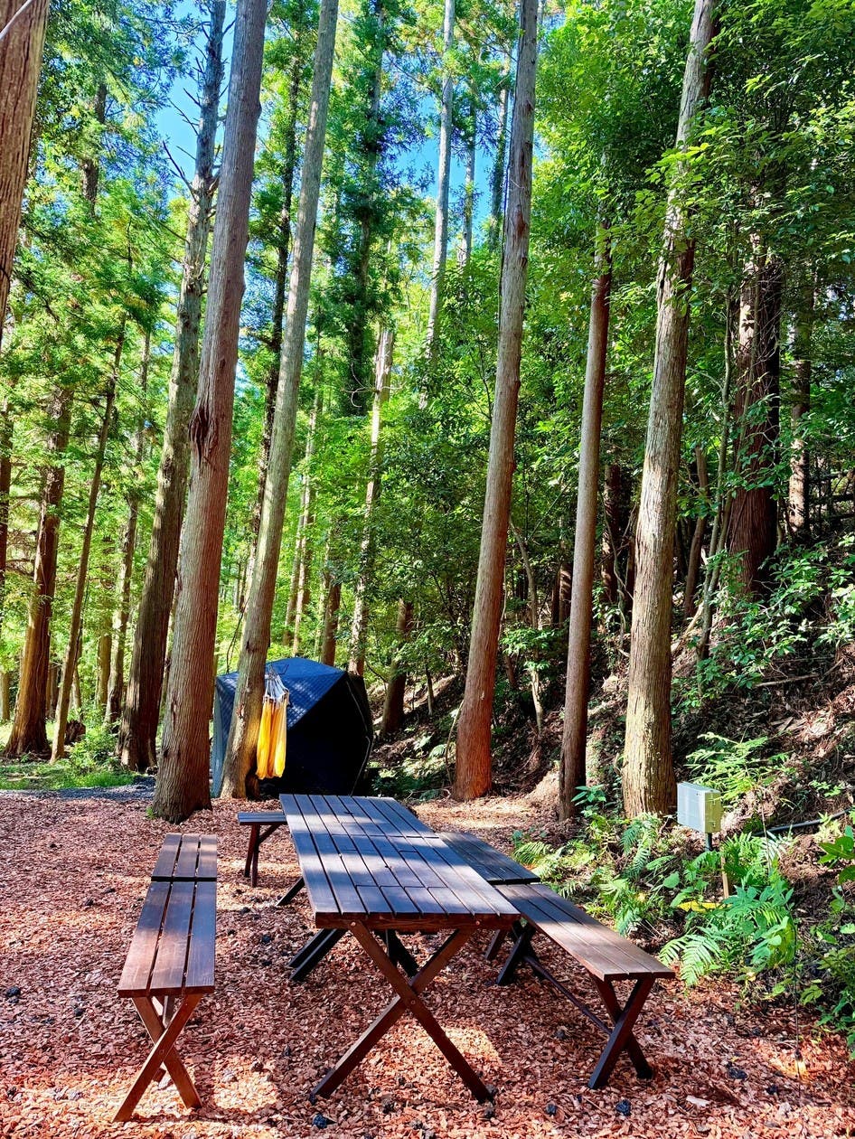 【食材付き日帰りBBQ＋サウナ】森の中の専用スペース、誰にも邪魔されない貸切空間、サウナも水風呂も入りたい放題♪の写真1
