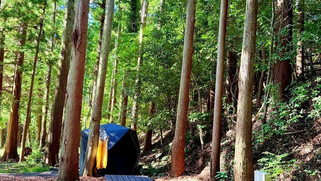 【食材付き日帰りBBQ+サウナ】森の中の専用スペース、誰にも邪魔されない貸切空間、サウナも水風呂も入りたい放題♪の写真1