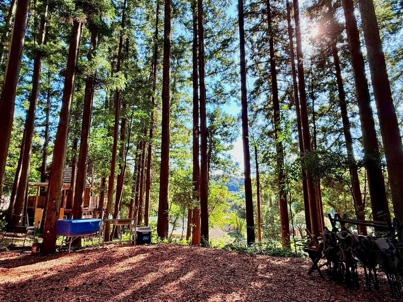 【食材付き日帰りBBQ＋サウナ】森の中の専用スペース、誰にも邪魔されない貸切空間、サウナも水風呂も入りたい放題♪の写真3