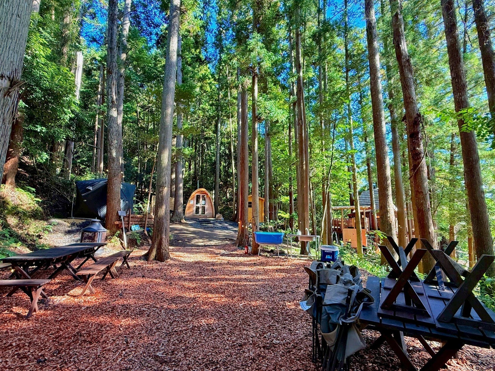 【食材付き日帰りBBQ＋サウナ】森の中の専用スペース、誰にも邪魔されない貸切空間、サウナも水風呂も入りたい放題♪の写真4