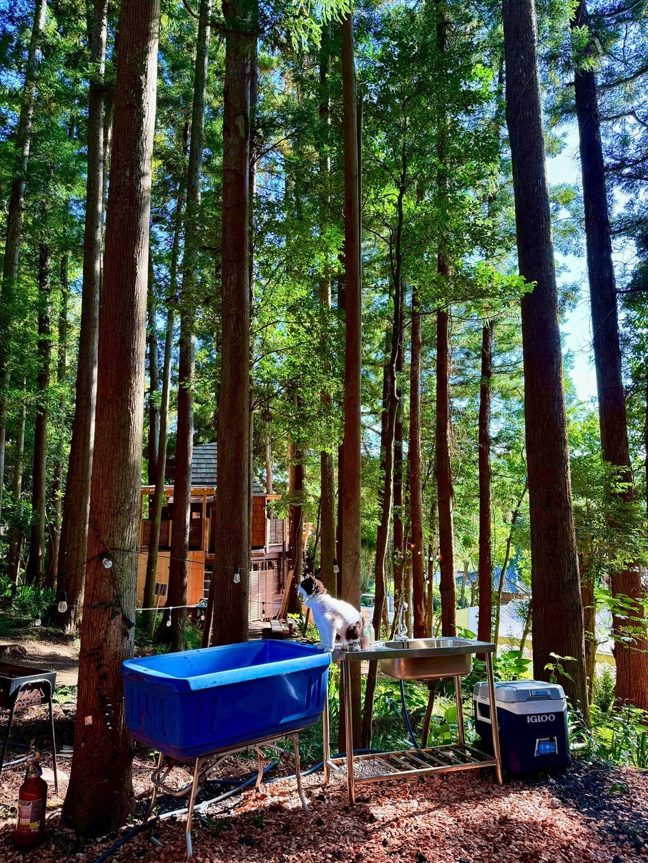 【食材付き日帰りBBQ＋サウナ】森の中の専用スペース、誰にも邪魔されない貸切空間、サウナも水風呂も入りたい放題♪の写真6