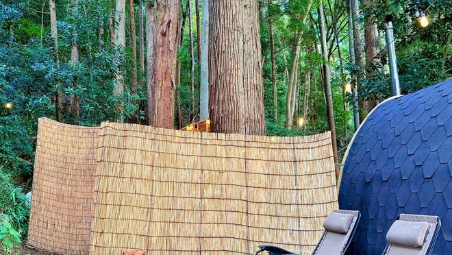 【食材付き日帰りBBQ+サウナ】森の中の専用スペース、誰にも邪魔されない貸切空間、サウナも水風呂も入りたい放題♪の写真8