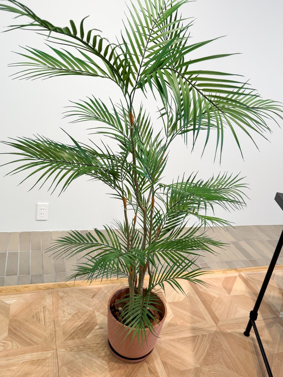 105【荻窪/井荻】クリスマス/忘年会/新年会/打ち合わせ/セミナー/ワークショップ/ホームパーティ/ママ友会/誕生日会/の写真14