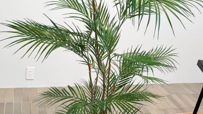 105【荻窪/井荻】クリスマス/忘年会/セミナー/打ち合わせ/ホームパーティ/ママ友会/誕生日会の写真14