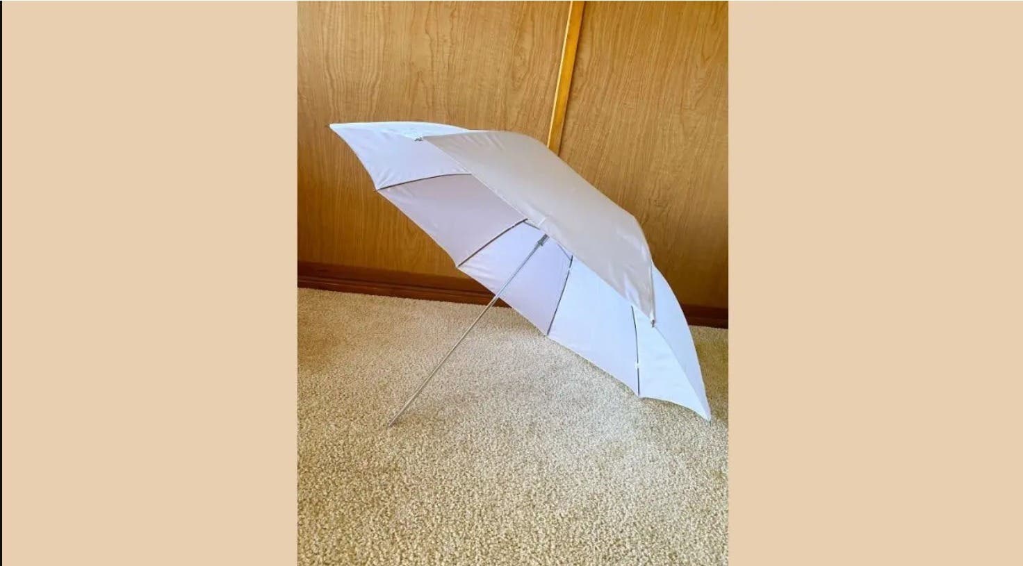 撮影機材レンタル アンプレラ 白黒2色の画像1