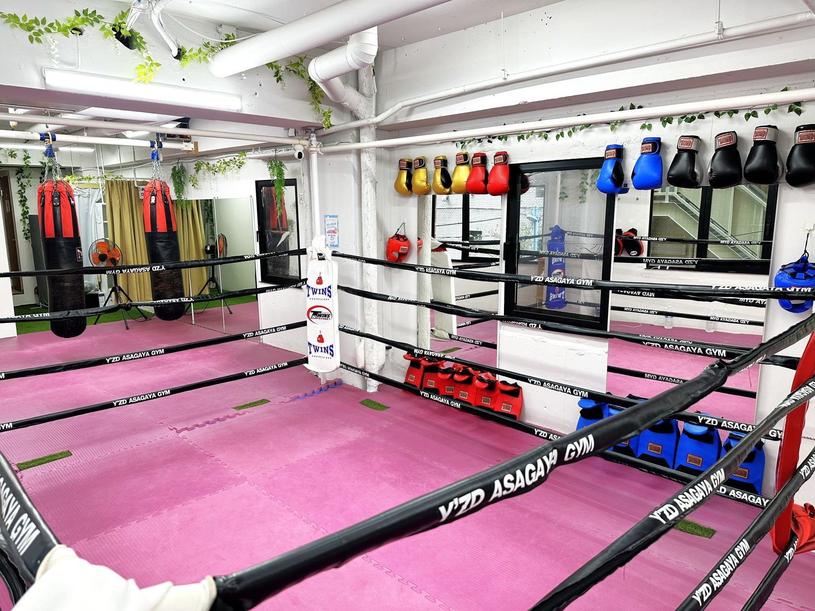 阿佐ヶ谷駅から雨に濡れずに入店できるキックボクシングジム✨１時間１０００円✨駅チカ🚃の写真1