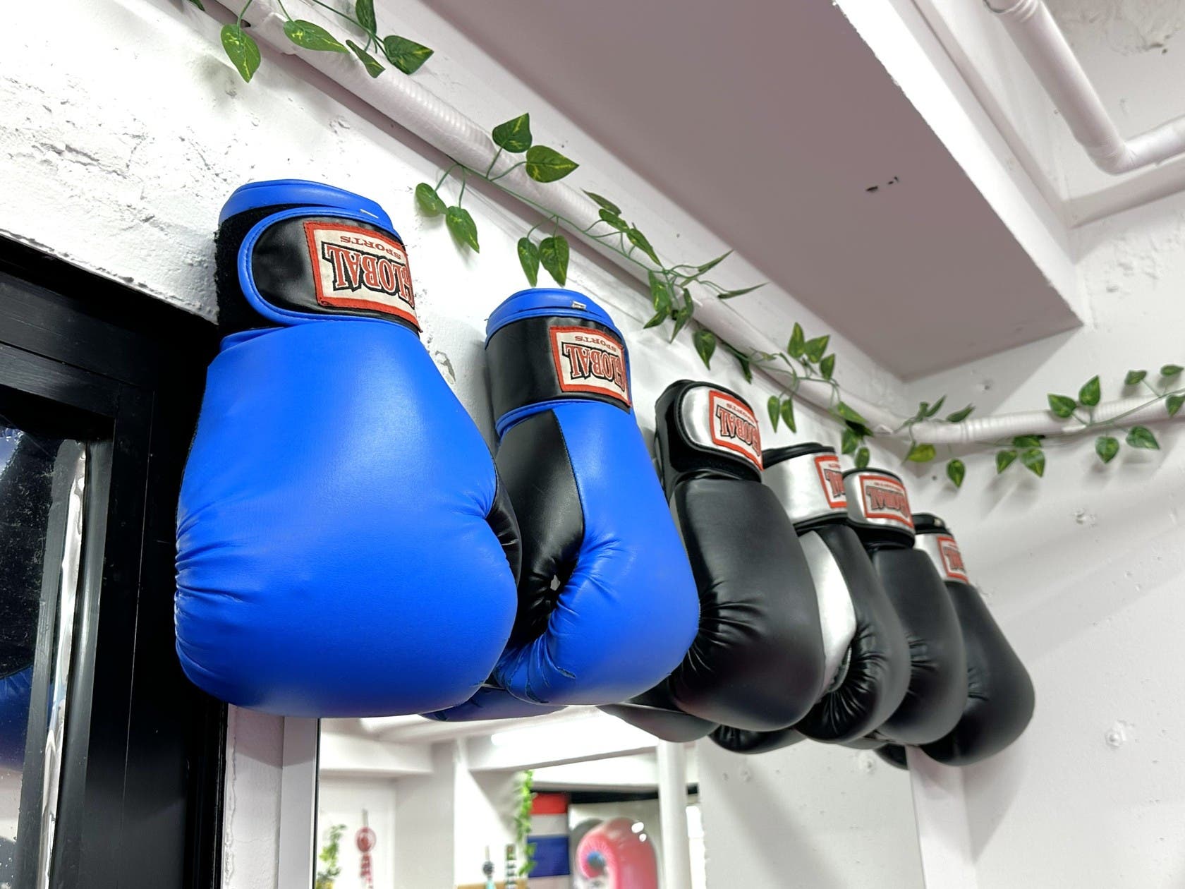 阿佐ヶ谷駅から雨に濡れずに入店できるキックボクシングジム✨１時間１０００円✨駅チカ🚃の写真6