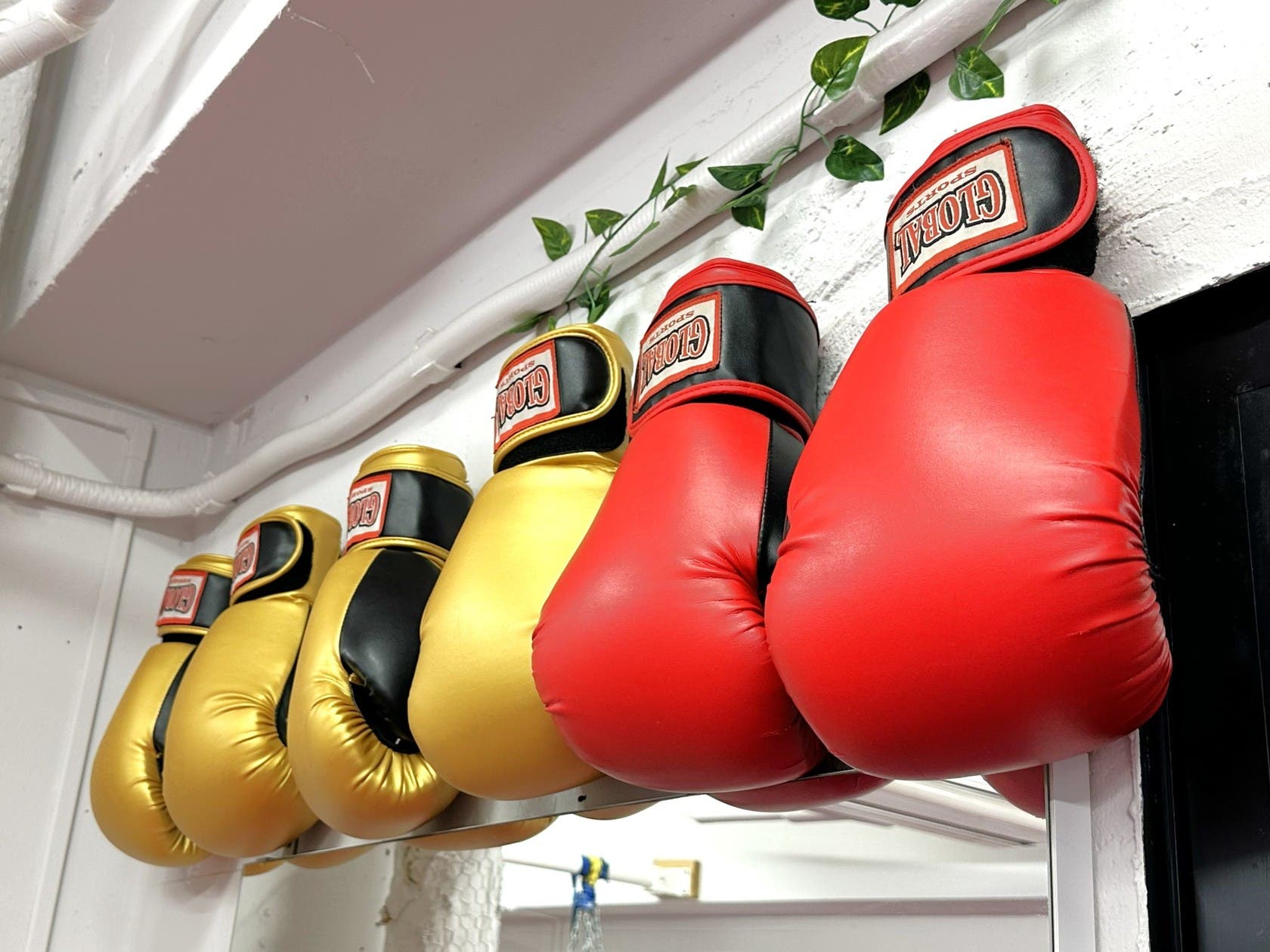 阿佐ヶ谷駅から雨に濡れずに入店できるキックボクシングジム✨１時間１０００円✨駅チカ🚃の写真7