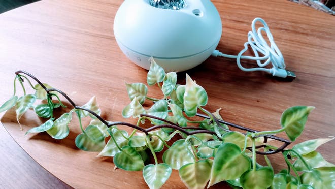 【今だけお得‼】川崎駅6分🚶♂️ツリー設置🎄新品ソファー✨ゆったりロフト🏠Netflix📺女子会|デート|駐輪スペースの写真13