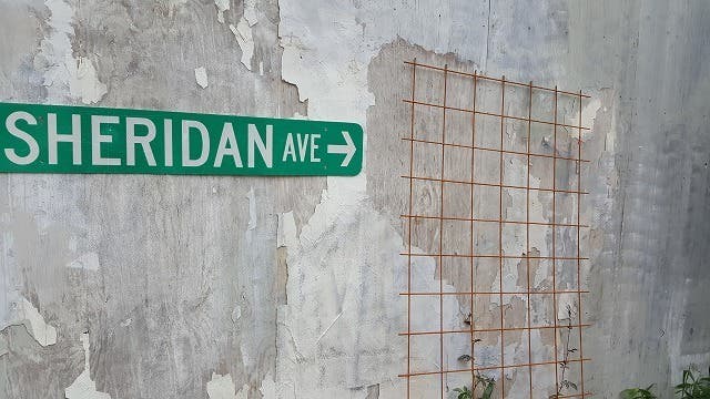 貸し切りプール可能！森の中にある開放感のあるスタジオです！BBQやドッグランにもいかがでしょうか？の写真14