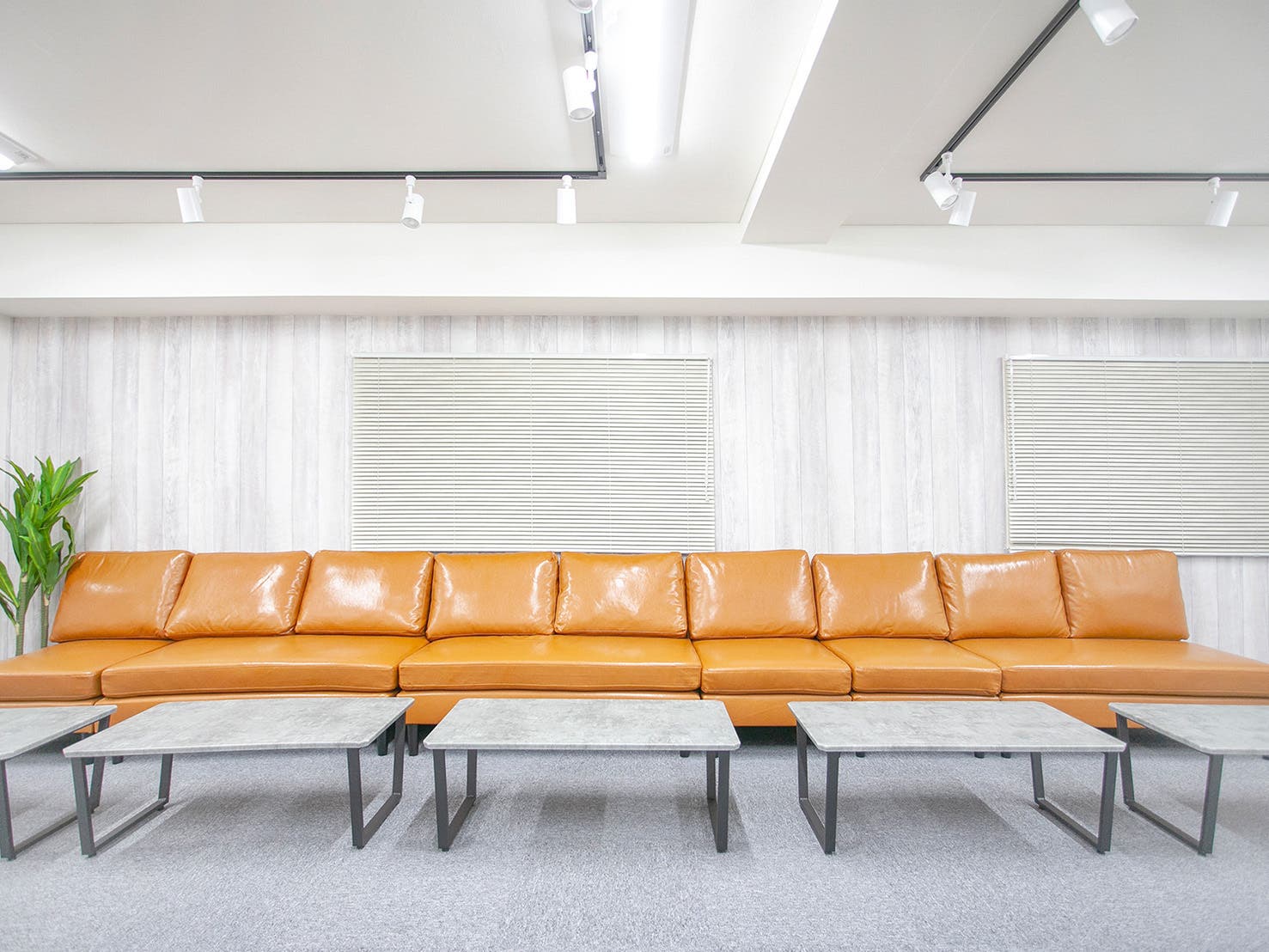 オープン記念価格🍠2025年11月NEWOPEN🎄淡路町3分/神田5分/最大36名/ビジネス/懇親会/ボドゲ/セミナーに最適の写真11