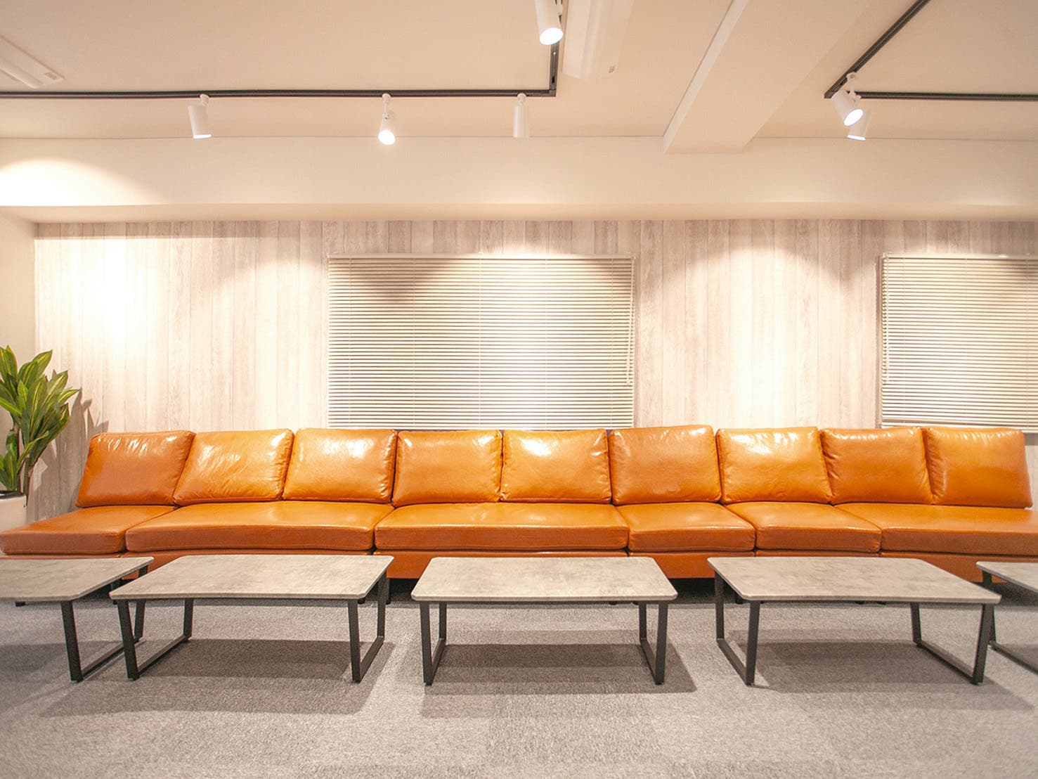 オープン記念価格🍠2025年11月NEWOPEN🎄淡路町3分/神田5分/最大36名/ビジネス/懇親会/ボドゲ/セミナーに最適の写真12