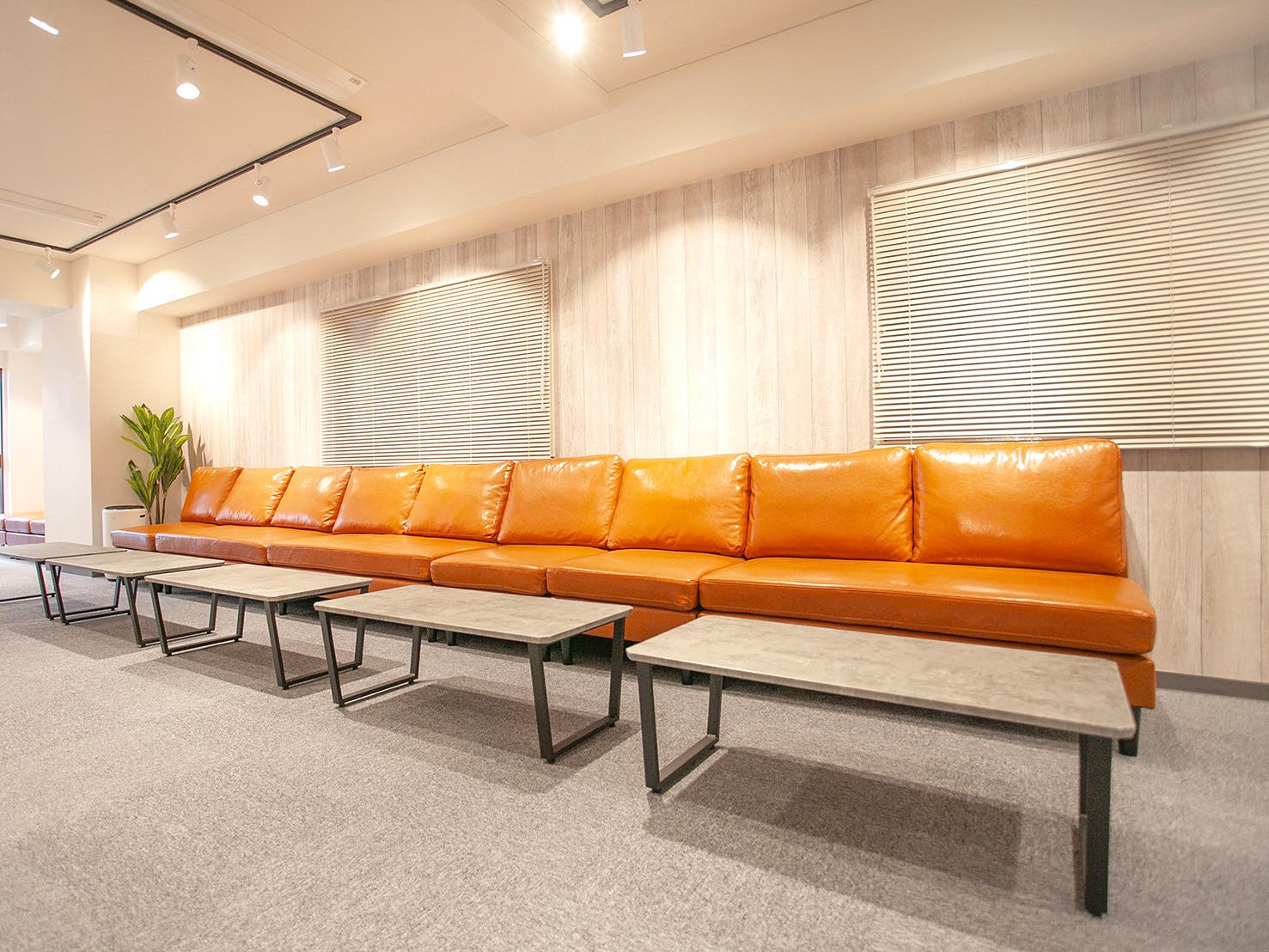 オープン記念価格🍠2025年11月NEWOPEN🎄淡路町3分/神田5分/最大36名/ビジネス/懇親会/ボドゲ/セミナーに最適の写真15