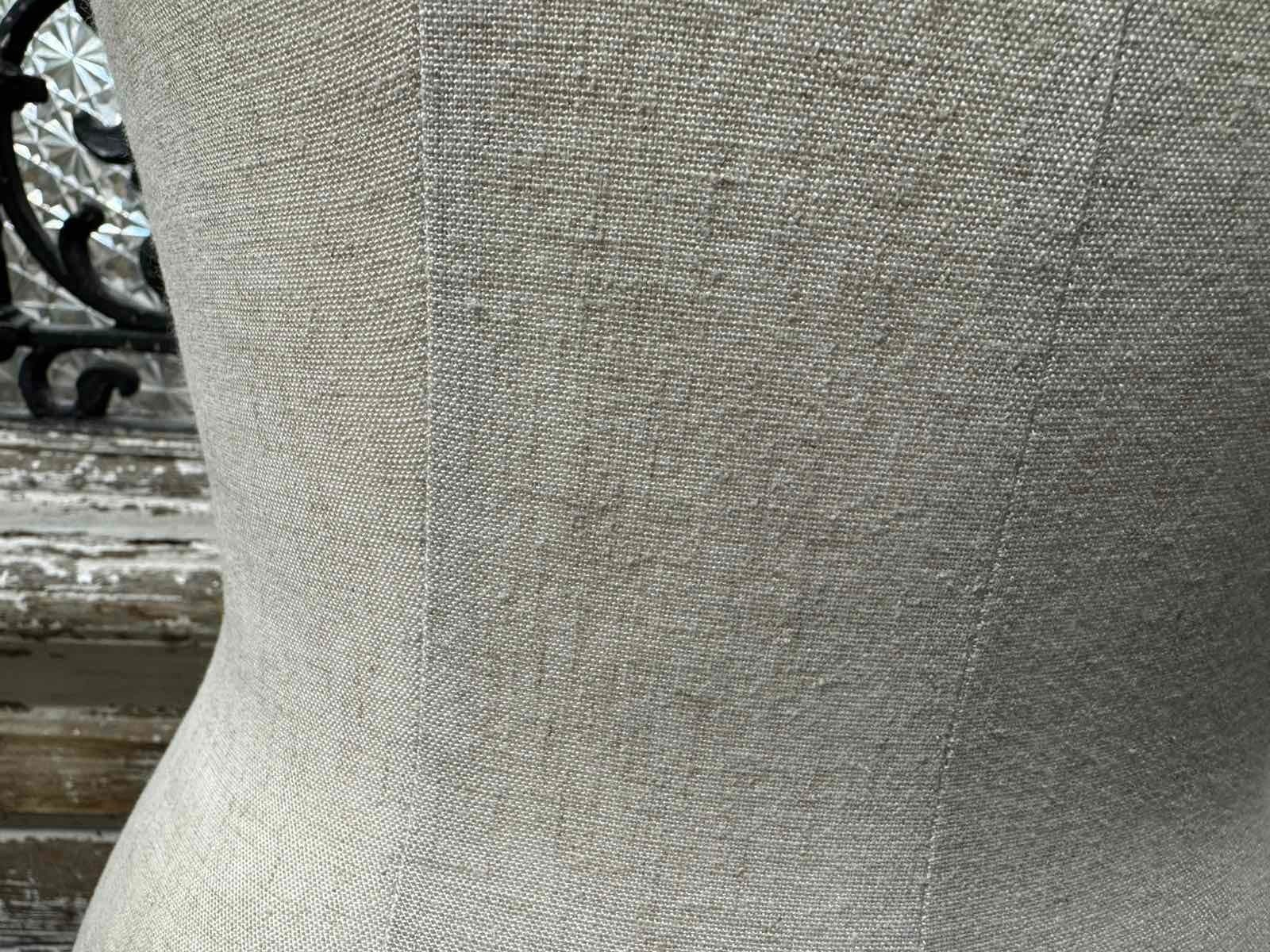 [オープン記念無料キャンペーン中]トルソー（マネキン）(1体1日￥500→￥0)の画像4