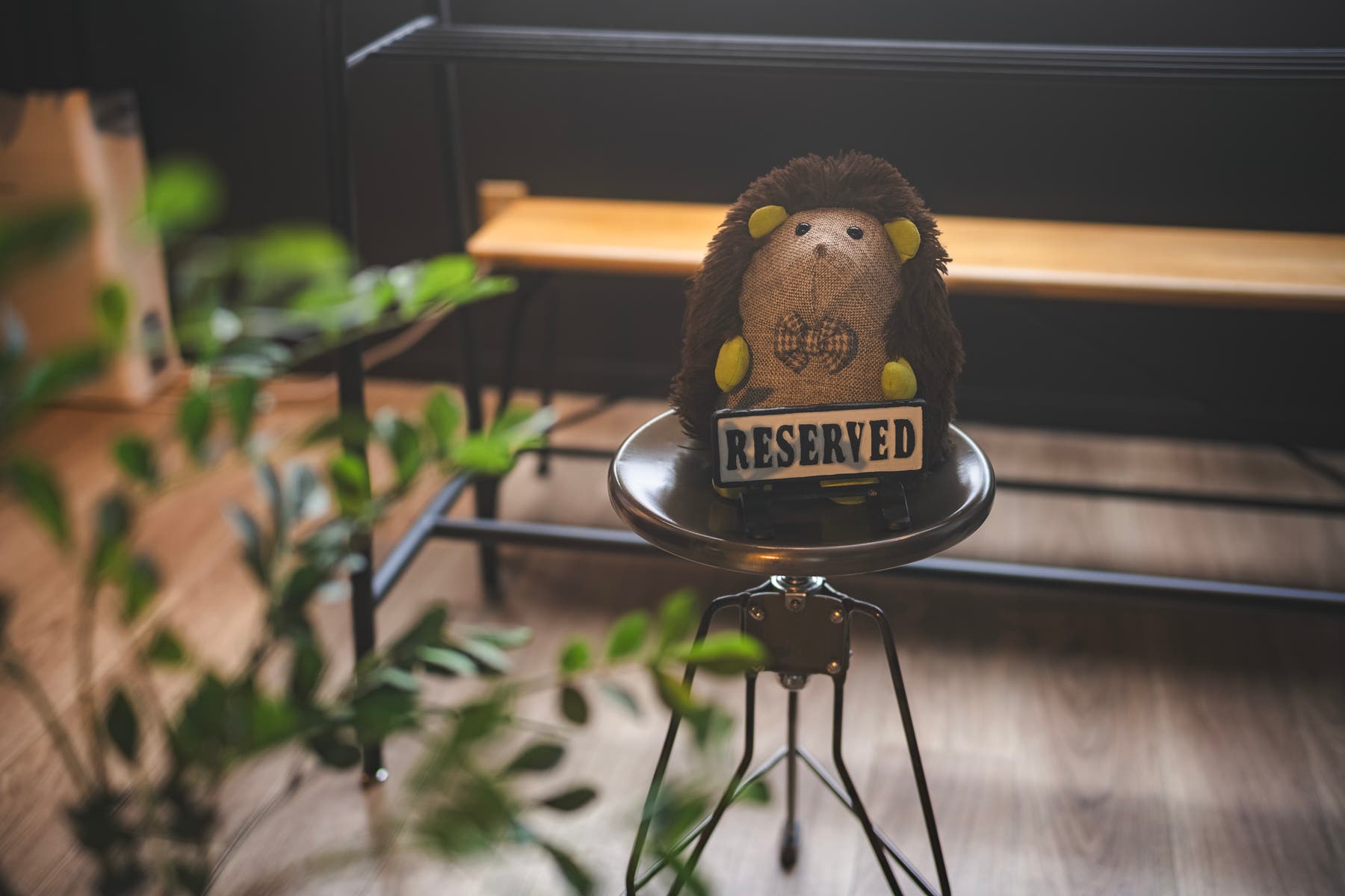 スペモ🪴クリスマス🌲学割🧑‍🎓秋葉原駅近👣デート💕プロジェクター📽️パーティー🎊752_MOLE秋葉原の写真5