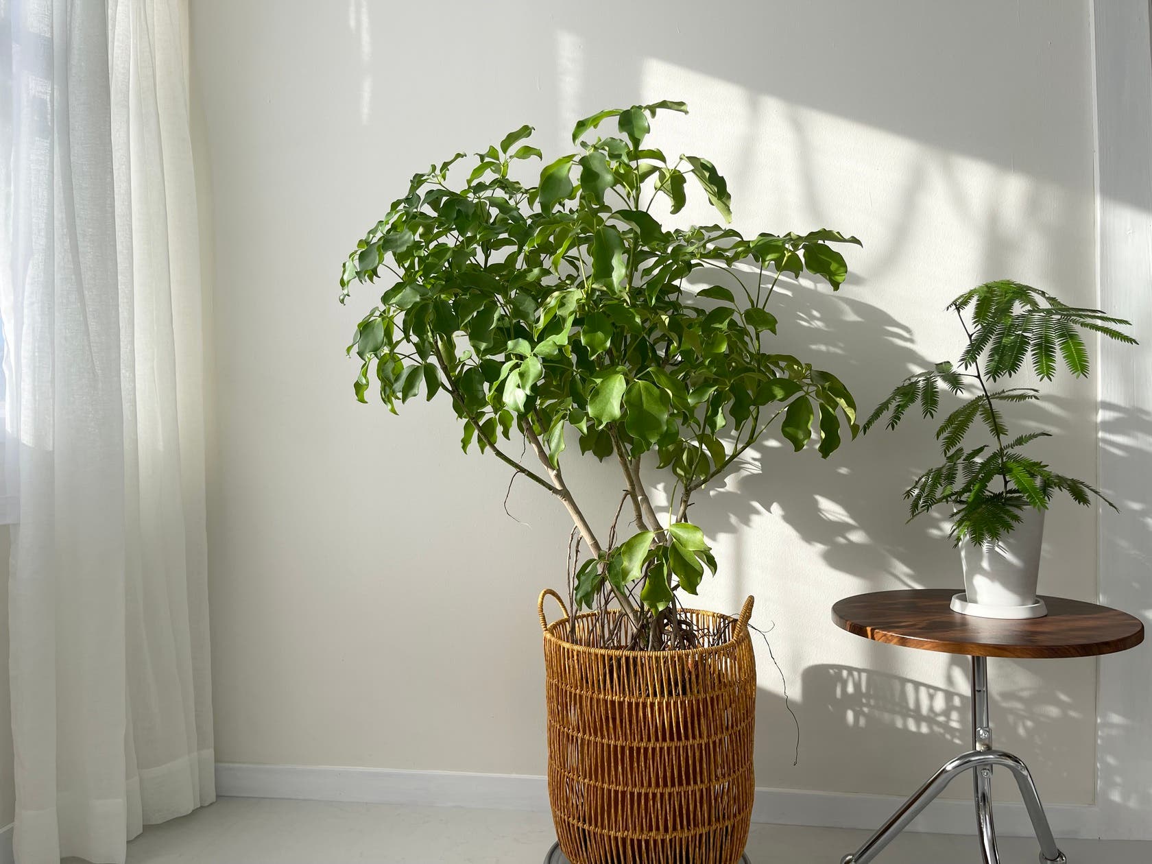 【NEW】🔰初回割あり　水道橋1分　自然光撮影スタジオ｜ポートレート＆商品撮影×和室×キッチン×300種の小物使い放題の写真16