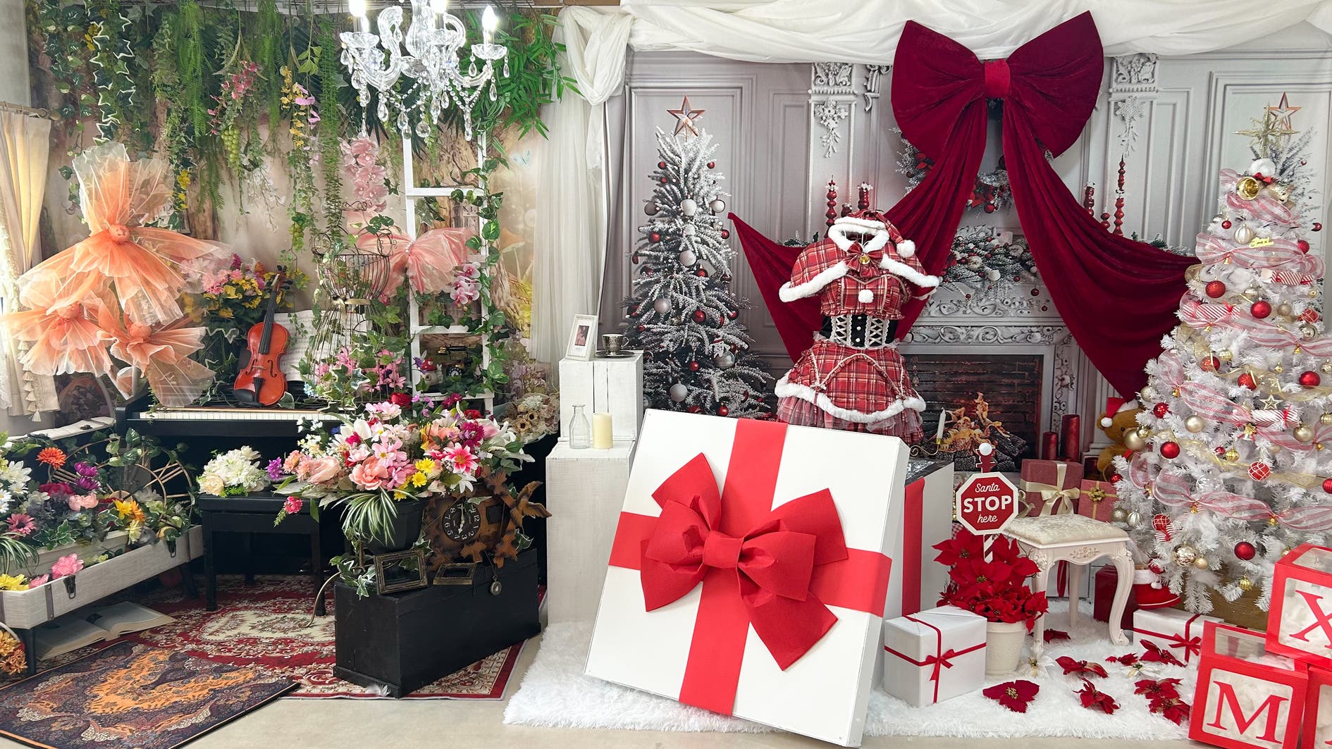 ドライフラワーに囲まれた天蓋ベットのあるスタジオ！の写真2