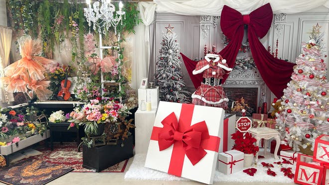 ドライフラワーに囲まれた天蓋ベットのあるスタジオ!の写真2