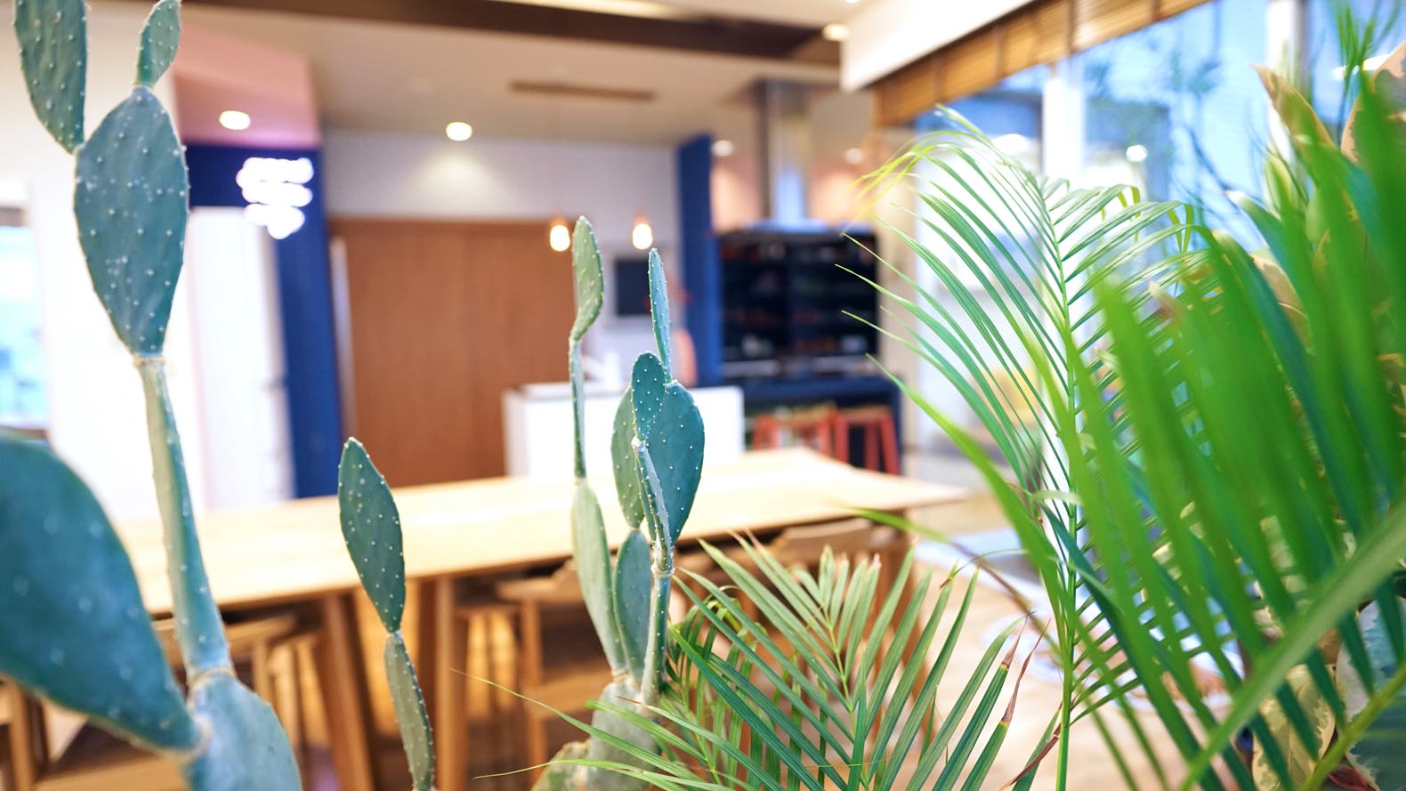 新宿御苑前3分｜洗練とくつろぎのマルチスペースGYOEN NO KUUKANの写真17