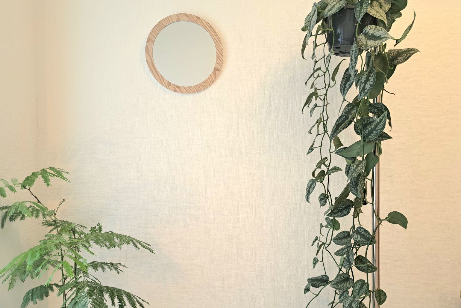 【西新宿駅/徒歩5分】賑わいから少し離れた閑静なプライベートサロン/タイ古式に特化した環境＆アイテムが充実🌟他施術もOKの写真19