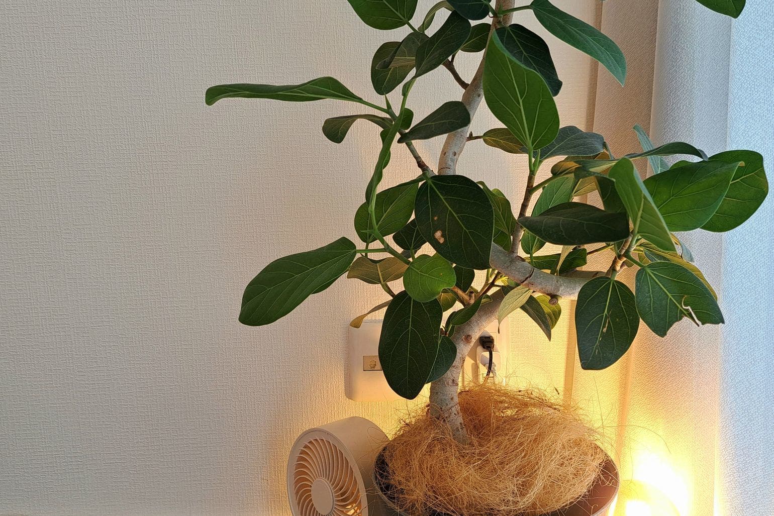 【西新宿駅/徒歩5分】賑わいから少し離れた閑静なプライベートサロン/タイ古式に特化した環境＆アイテムが充実🌟他施術もOKの写真27