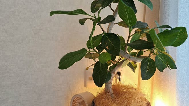 【西新宿駅/徒歩5分】賑わいから少し離れた閑静なプライベートサロン/タイ古式に特化した環境&アイテムが充実🌟他施術もOKの写真27