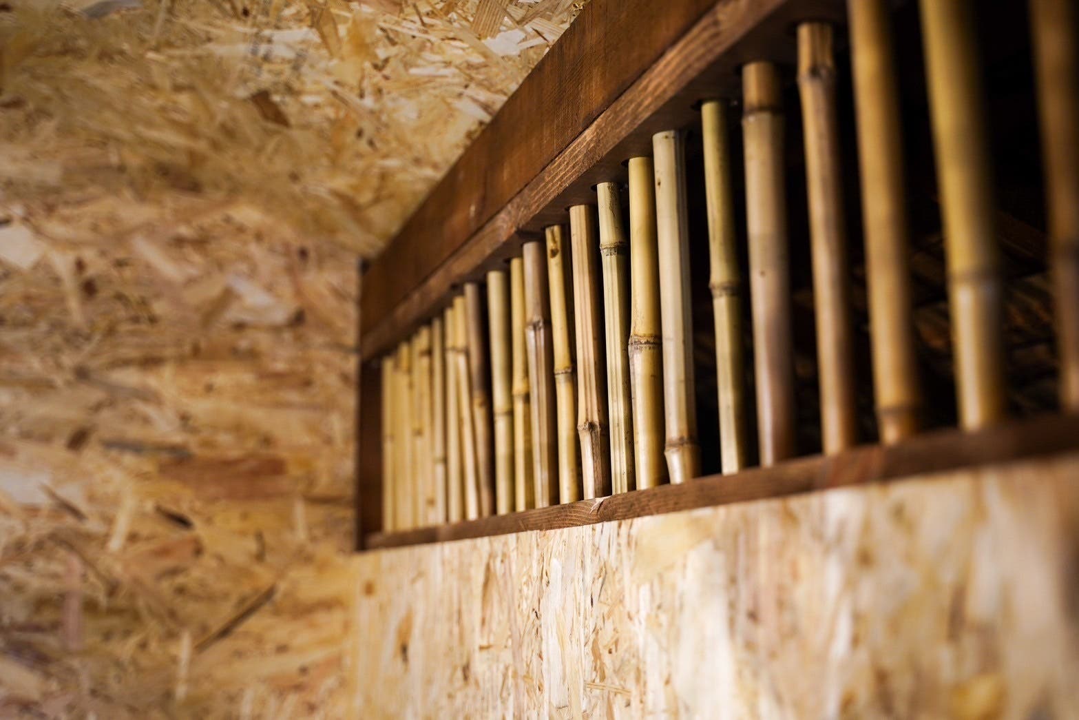 🐒【古民家 × ジム】トレーニングを非日常へ。ジャングル×古民家の秘密基地ジム。の写真9