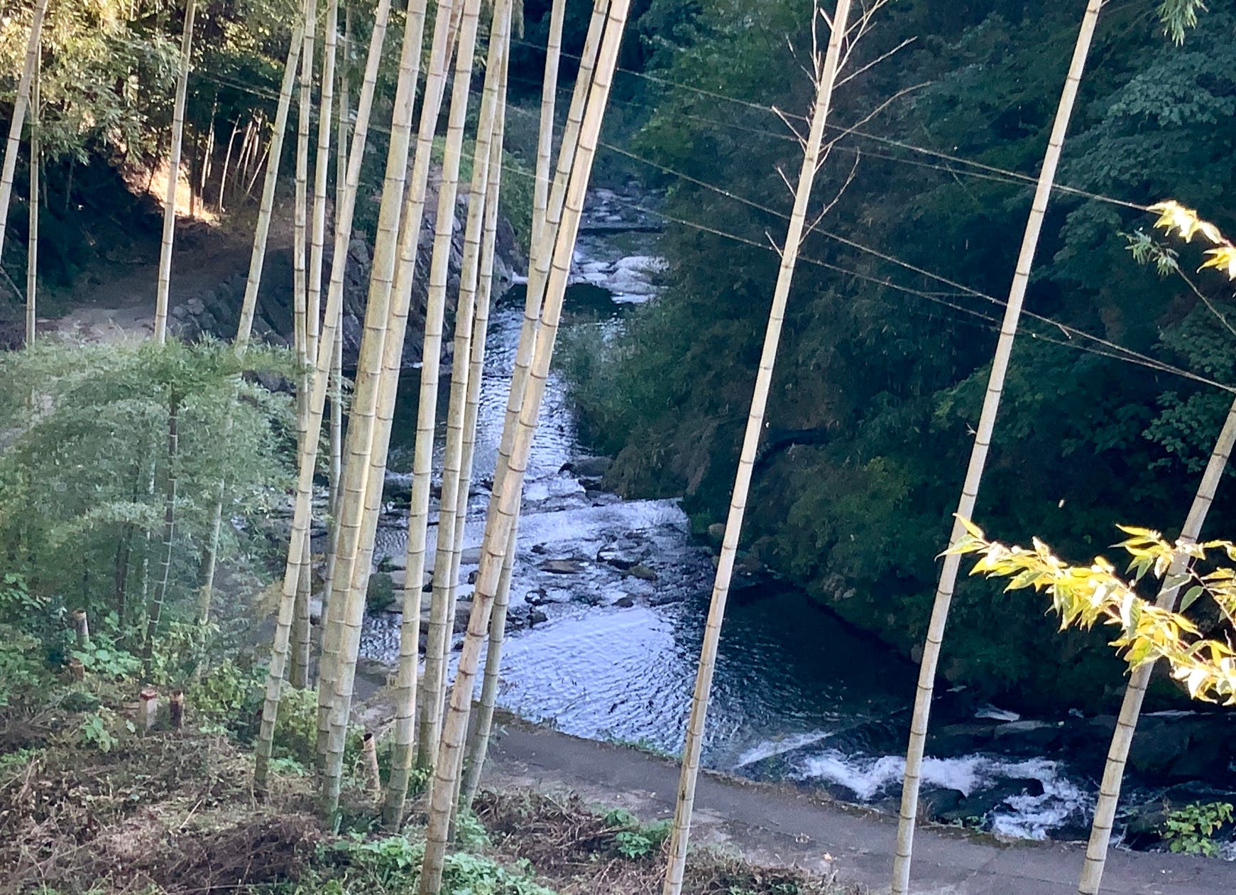 福岡市内より車で1時間の日帰りドライブコース。自然とアートがある多目的スペース。自由な使い方で多種多様にご利用いただけます。の写真12