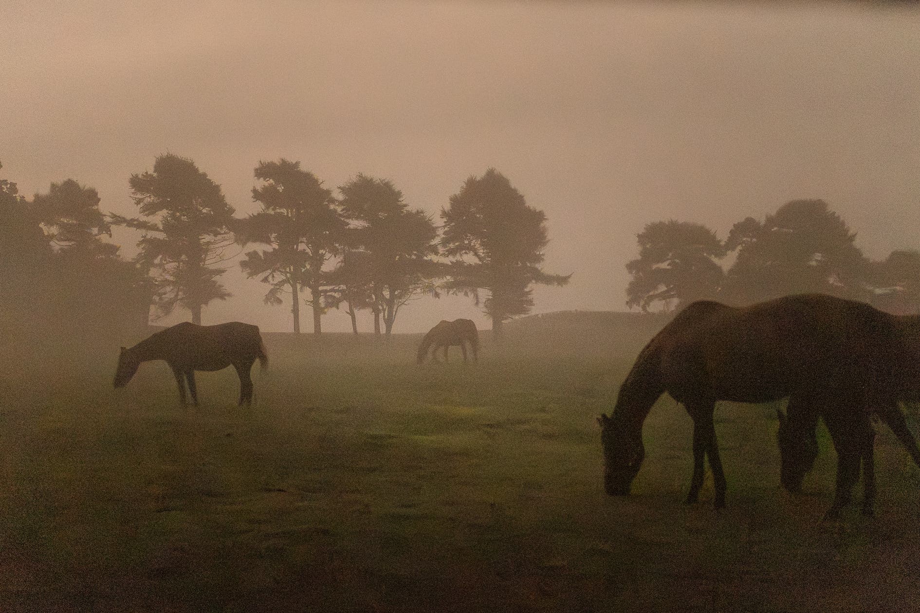 圧倒的な大自然に囲まれた北海道のレンタルスタジオの写真14