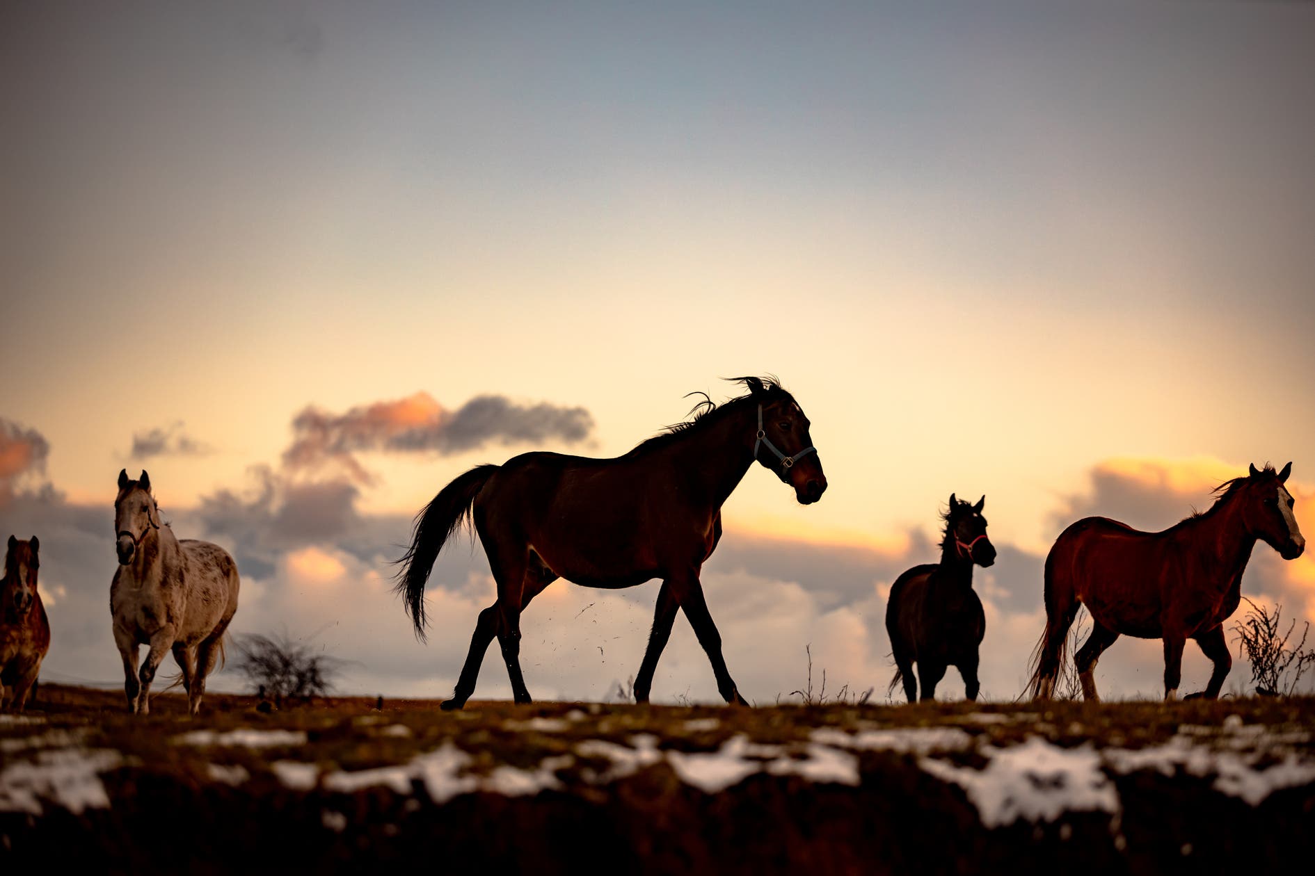 圧倒的な大自然に囲まれた北海道のレンタルスタジオの写真17