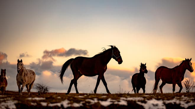 圧倒的な大自然に囲まれた北海道のレンタルスタジオの写真17