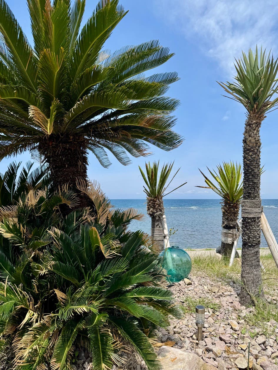 日本海を望む貸切スペース｜撮影・女子会・日帰り利用に【出雲崎】の写真25