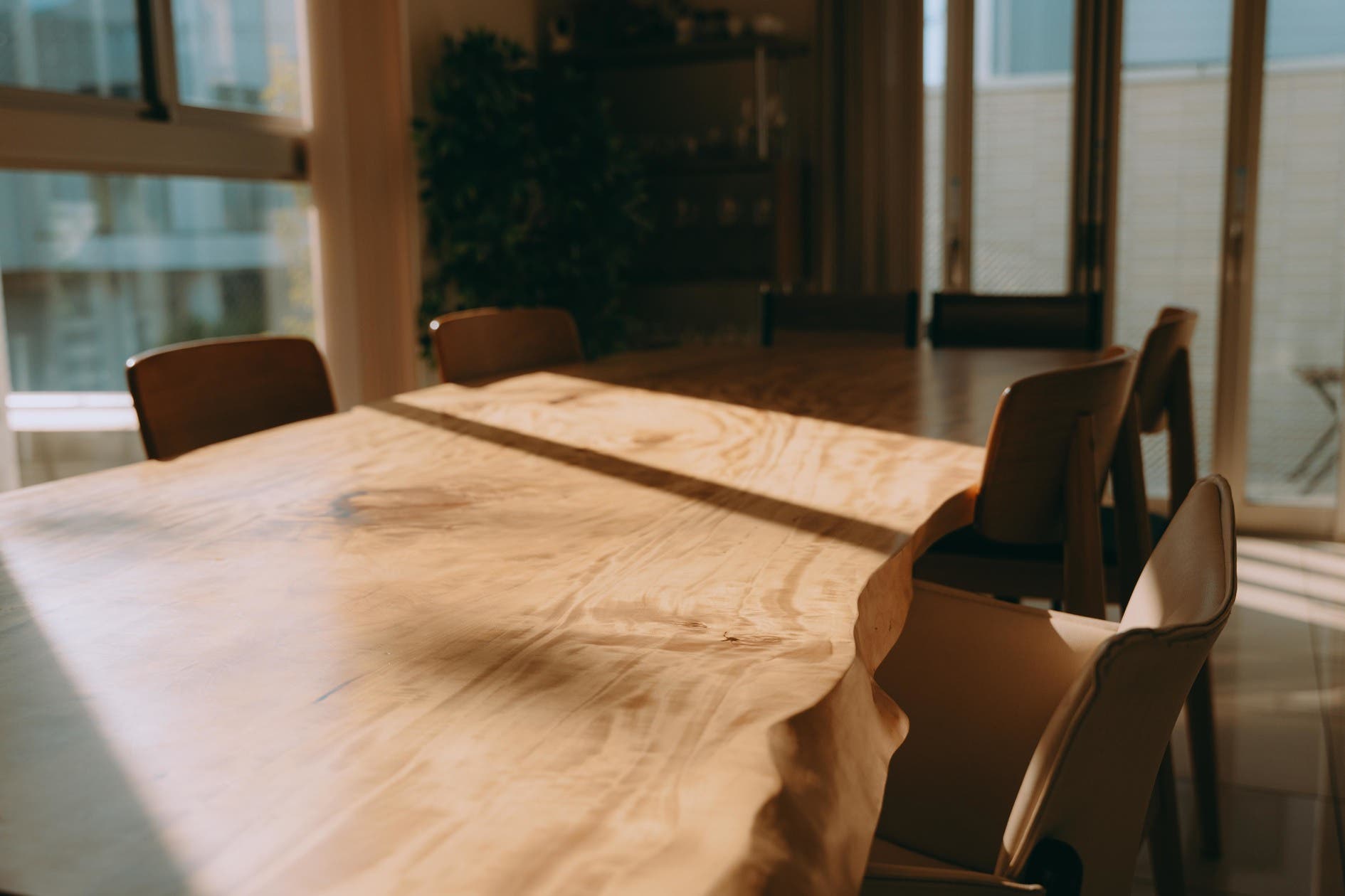 ハウススタジオ（パーティOK）📷潤沢太陽光に30畳リビングと大規模キッチン！撮影やパーティに贅沢空間📷室内最大30名収容👬の写真18