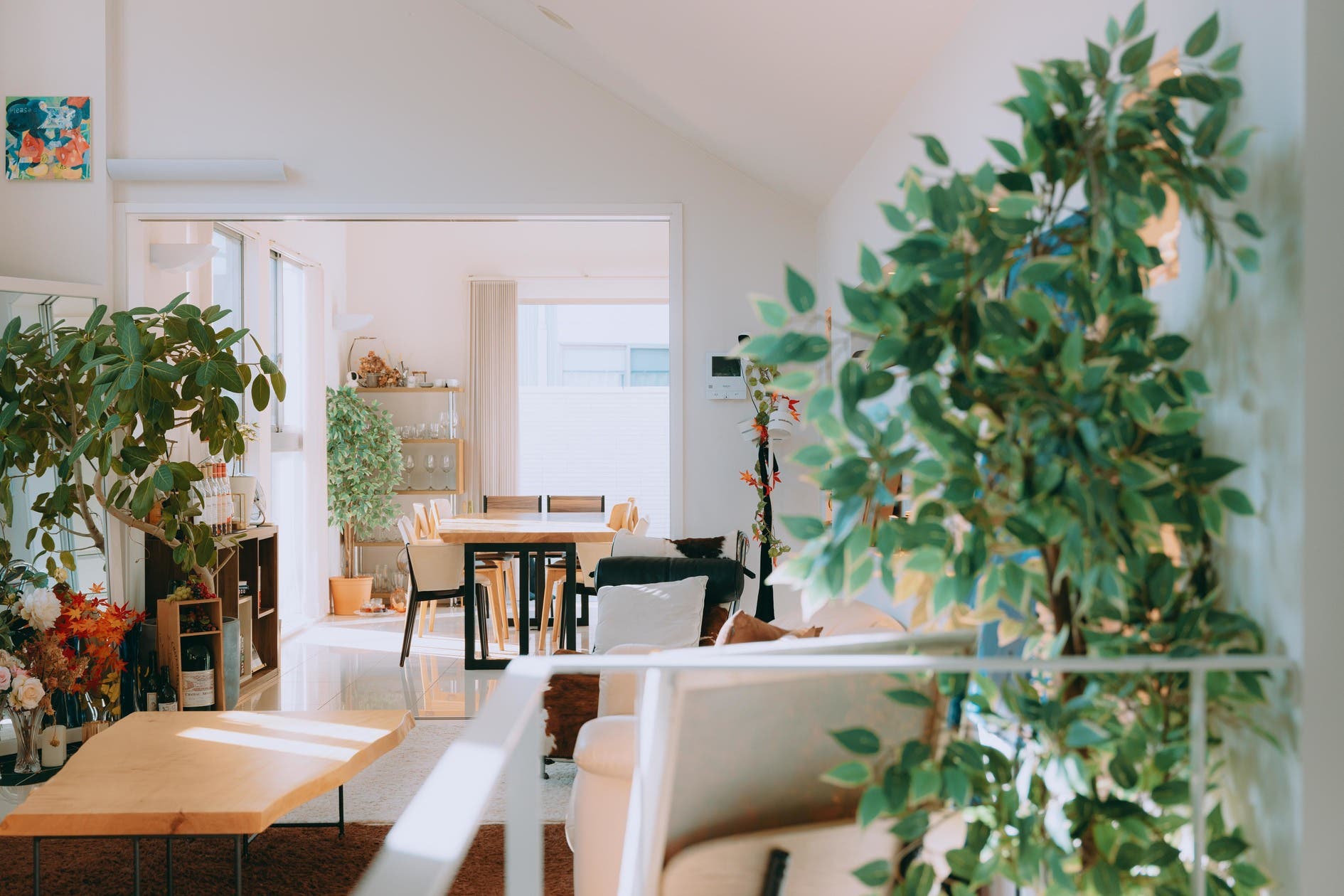 ハウススタジオ（パーティOK）📷潤沢太陽光に30畳リビングと大規模キッチン！撮影やパーティに贅沢空間📷室内最大30名収容👬の写真24