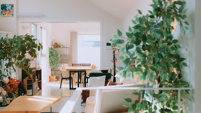 ハウススタジオ(パーティOK)📷潤沢太陽光に30畳リビングと大規模キッチン!撮影やパーティに贅沢空間📷室内最大30名収容👬の写真24