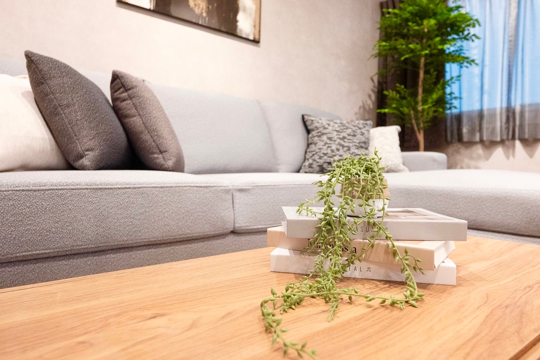 スペモ🏘️クリスマス🎄五条駅徒歩３分✨会議💎飲み会🥂撮影🎥セミナー💎796_SpemoLOUNGE京都五条の写真29