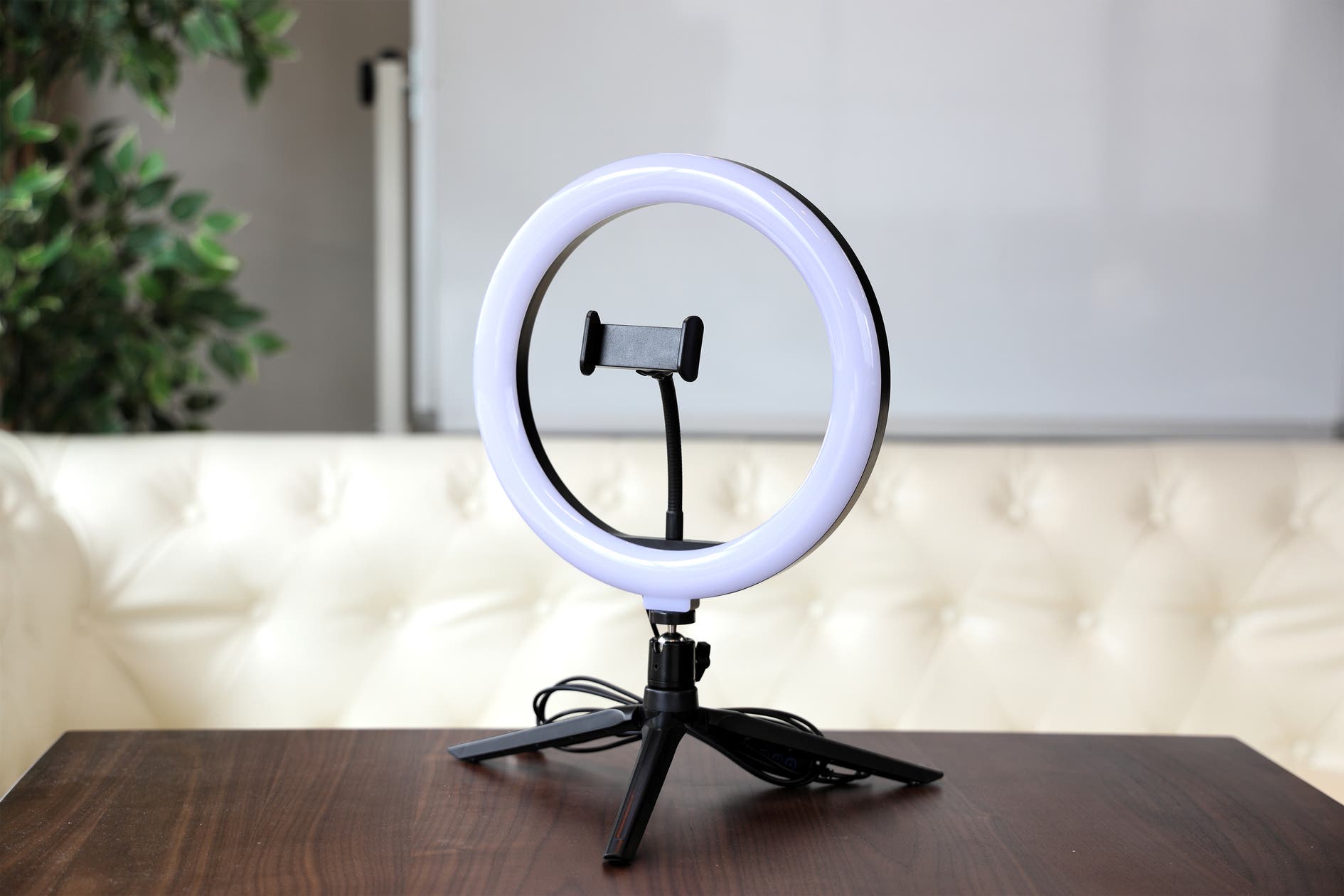 NEW！【上野駅から徒歩圏内】都内最安値1時間110円～！備品貸与、商用撮影、アルコール持ち込みも全て無料でご利用いただけます！の写真20