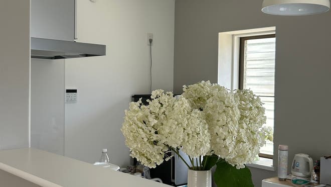 逗子・鎌倉駅からバス徒歩で20分、カフェのような一軒家ワークスペース、居心地のよい逗子サロン(駐車場一台あり)の写真4