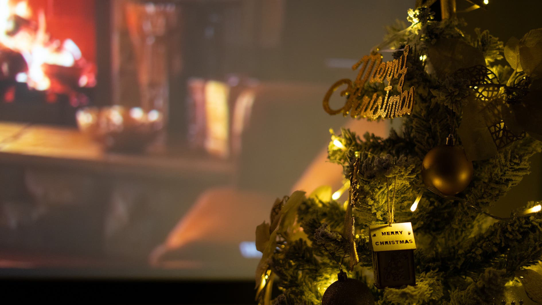 スペモ🪴クリスマス🎄学割🧑‍🎓映画鑑賞🎥プロジェクター📽️パーティー🎊飲み会🍺604_MOLE日吉の写真14