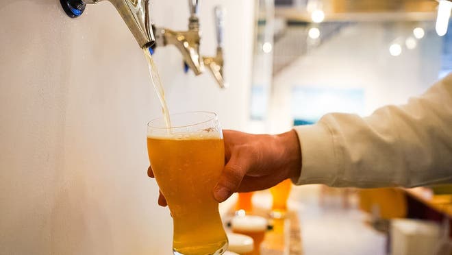 【箱根湯本駅バス1分】自然に囲まれたWi-Fi完備のコワーキングスペースの写真9