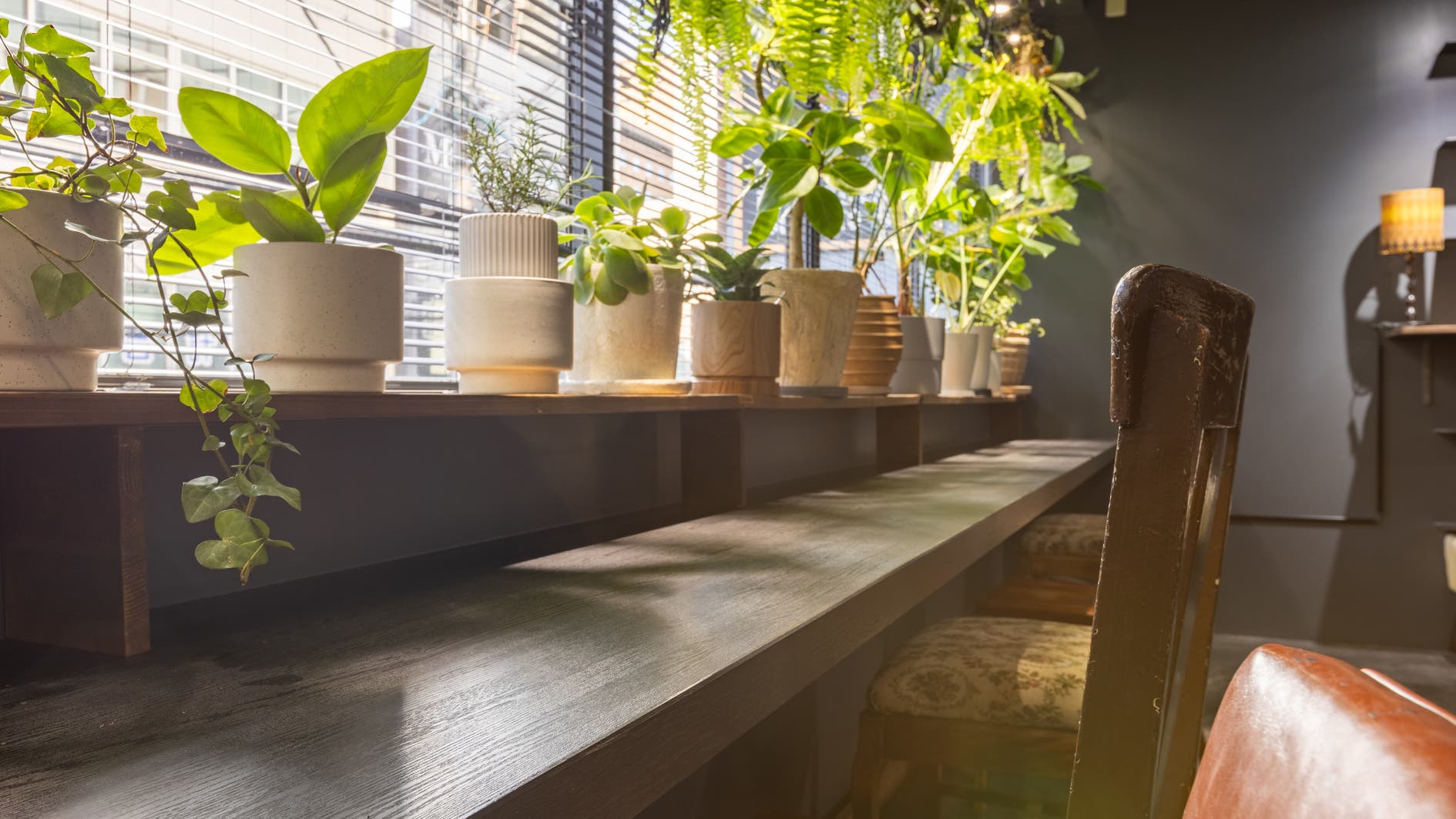 スペモ🏰忘年会🍺飲食店許可施設🍽️撮影🎥パーティ🎊セミナー👩‍💻802_CafefleurLOUNGE心斎橋の写真3